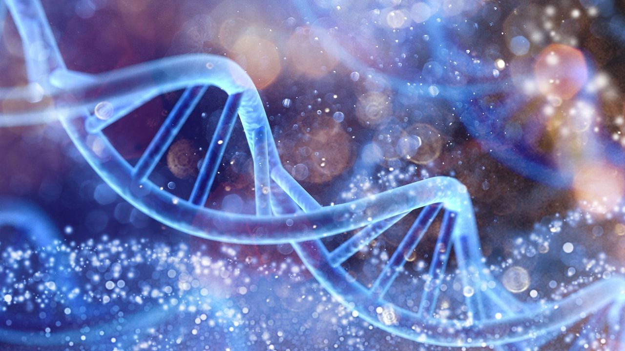 Bankruptcy judge approves $305m sale of genetics testing company ...